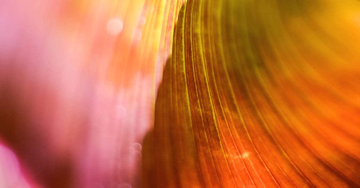 Replace MIM Sync Engine | Introducing HyperSync Panel